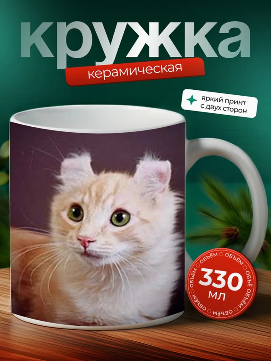 Кружка Маврикийский коралл кот 10,