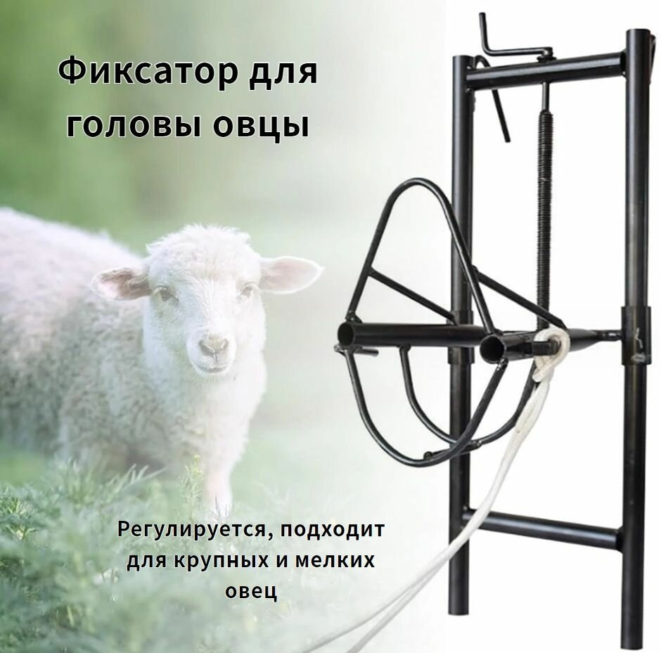 Фиксатор головы овцы, регулируемый, для стрижки, инъекции, доения