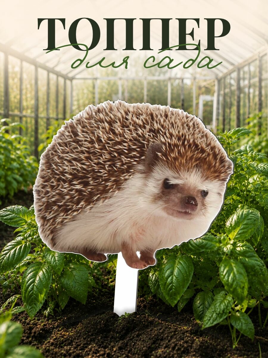 Фигурки для сада Ёжик