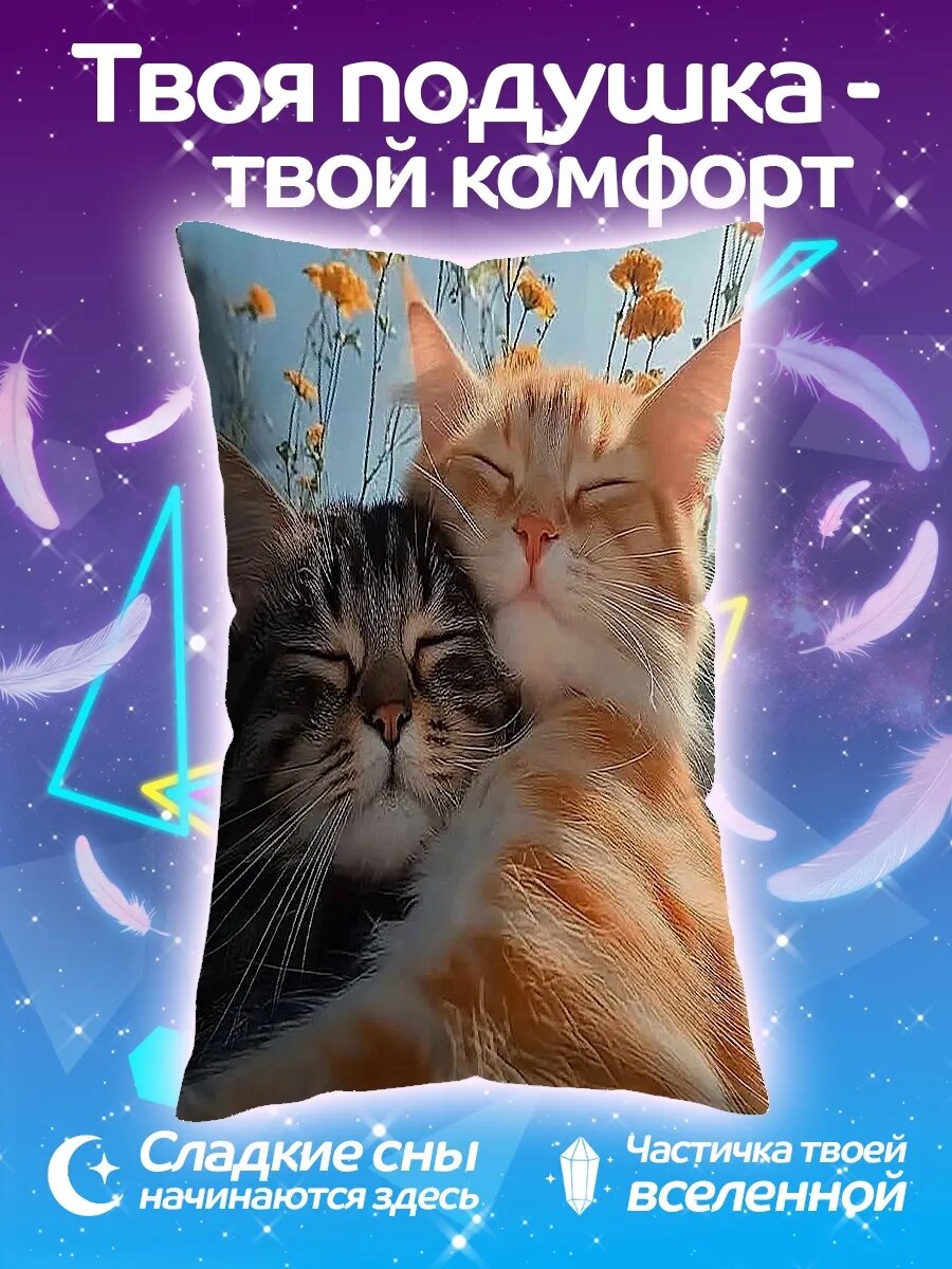 Подушка дакимакура Два кота в объятиях