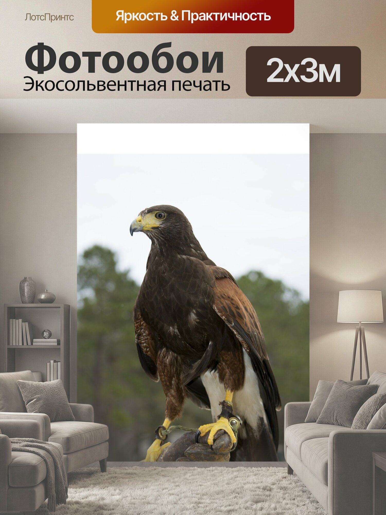 Фотообои "Ястреб, соколиная охота, птица" 200x300 см. экосольвентная печать