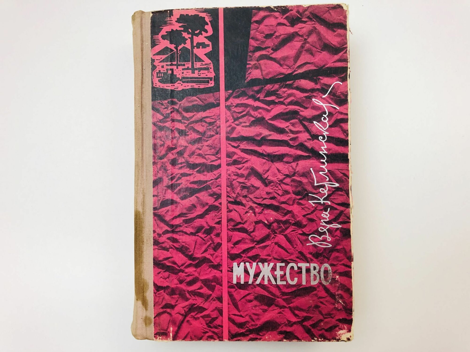Мужество. Роман