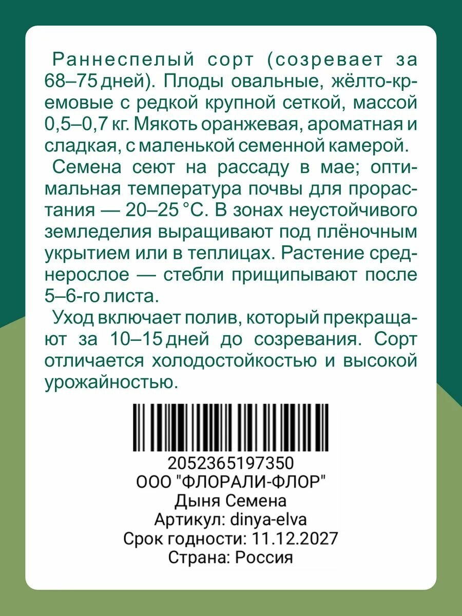 Дыня Семена — фото 1