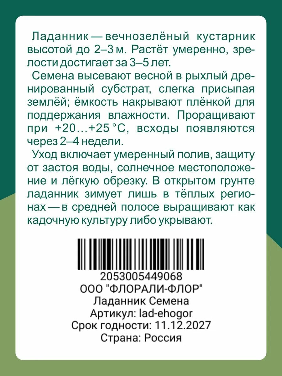 Ладанник Семена — фото 1