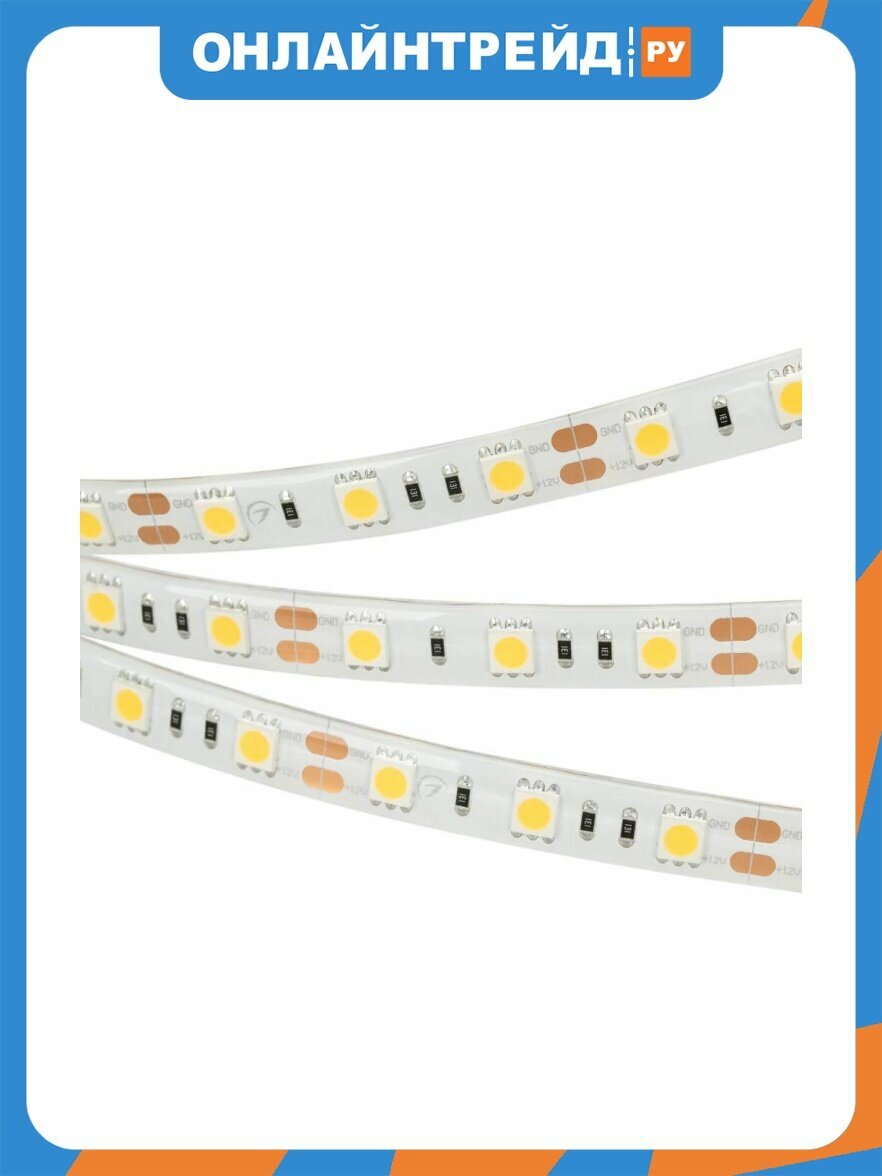 Светодиодная лента Arlight 14,4W/m 60LED/m 5060SMD холодный белый 5M 0168451 (Упаковка 5 метров)