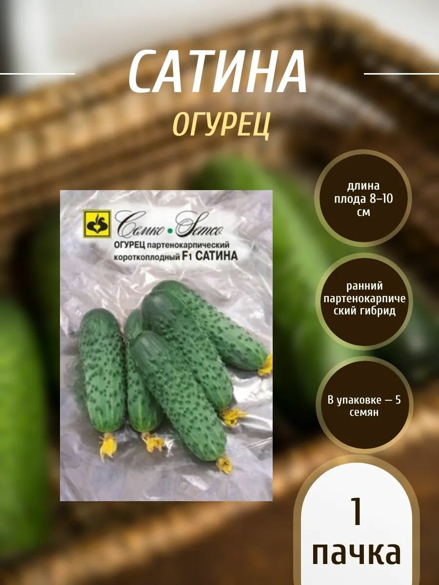 Семена, Огурец Сатина, 1 пачка