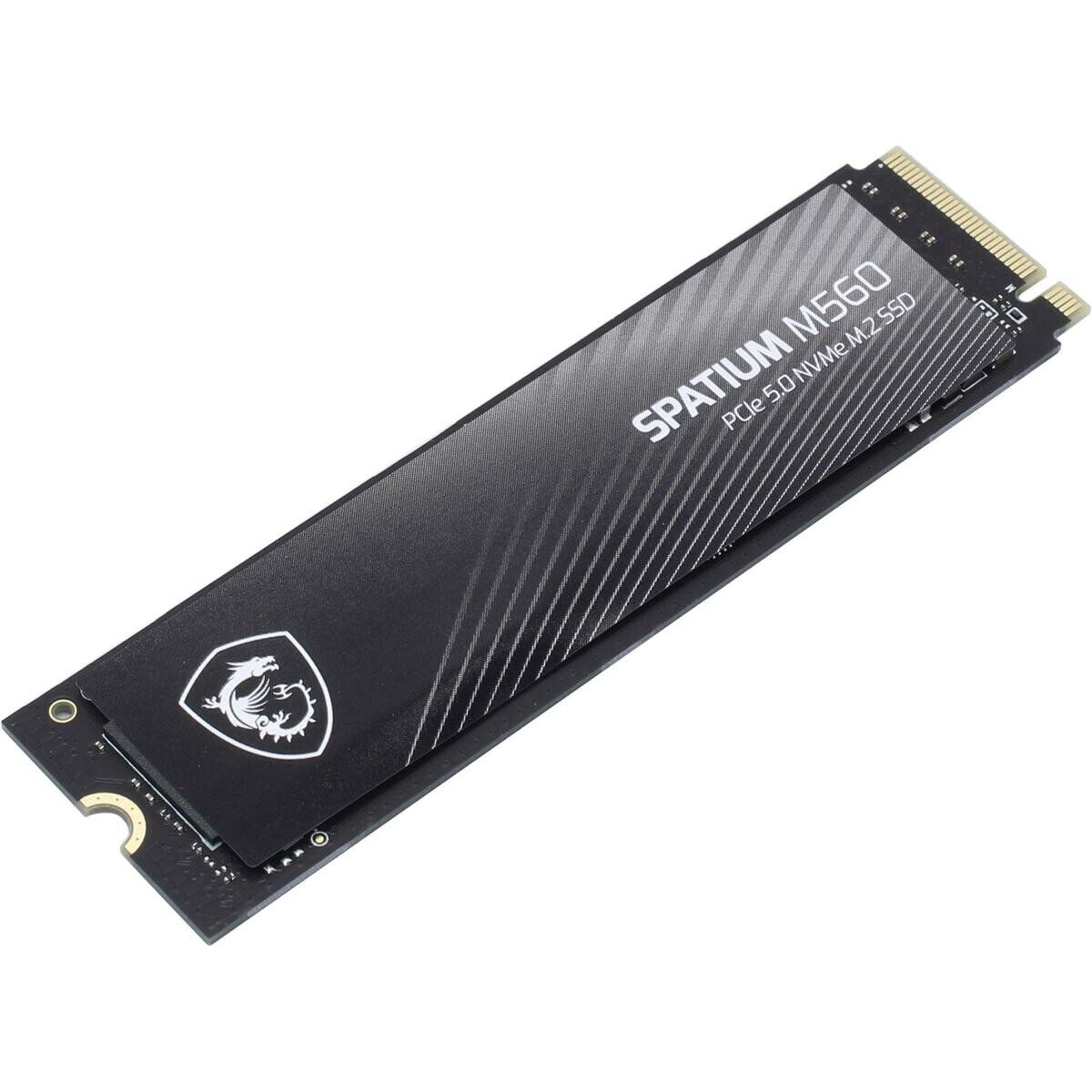 SPATIUM M560 1 Тб M.2 PCI-E Gen5 x4 M.2 Type 2280 M Key, TBW 600, 0.33 DWPD — фото 1