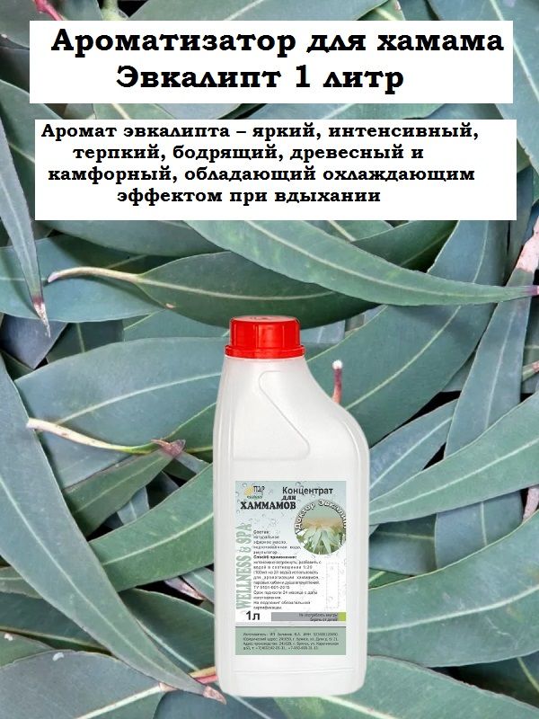 Ароматизатор ПАР ecology для хамама, хамам, турецкой бани Доктор Эвкалипт (концентрат) 1 л