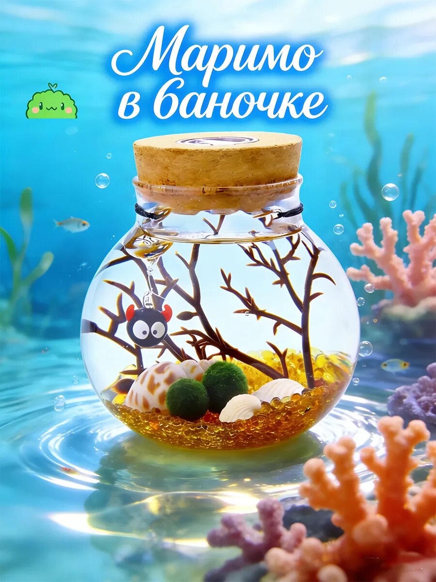 Маримо в баночке