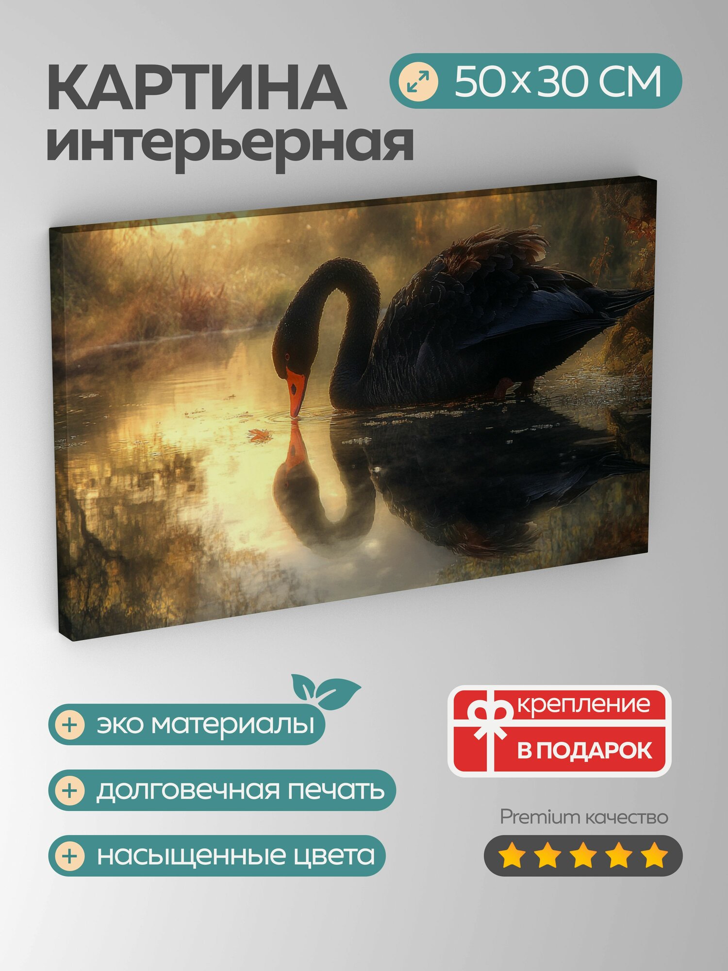 Картина на холсте интерьерная 50х30 см, Черный лебедь, отражение, озеро, сумерки, сияние, солнце, свет, спокойствие