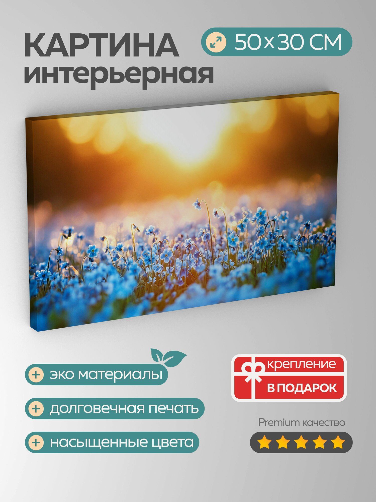 Картина на холсте интерьерная 50х30 см, незабудки, поле, золотой час, солнечный свет, нежные цветы, умиротворение, 5:3