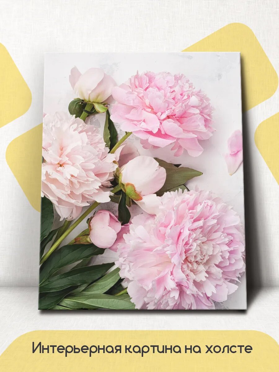 Картина на стену интерьерная Нежно-розовые пионы 30x40 см