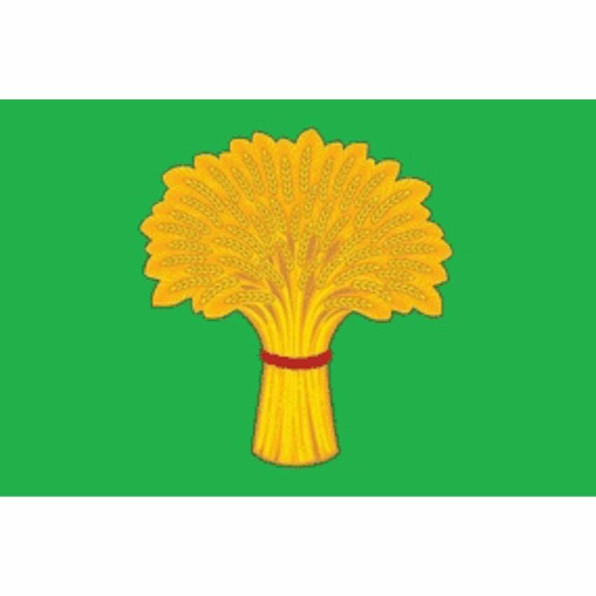 Флаг Канска 135x90 см.