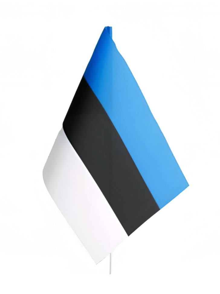 Флажок Эстонии на флажном шелке (22 х 14 см, без подставки)