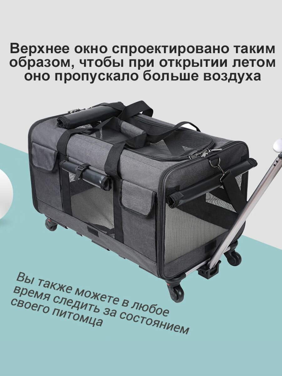 Переноска — фото 1