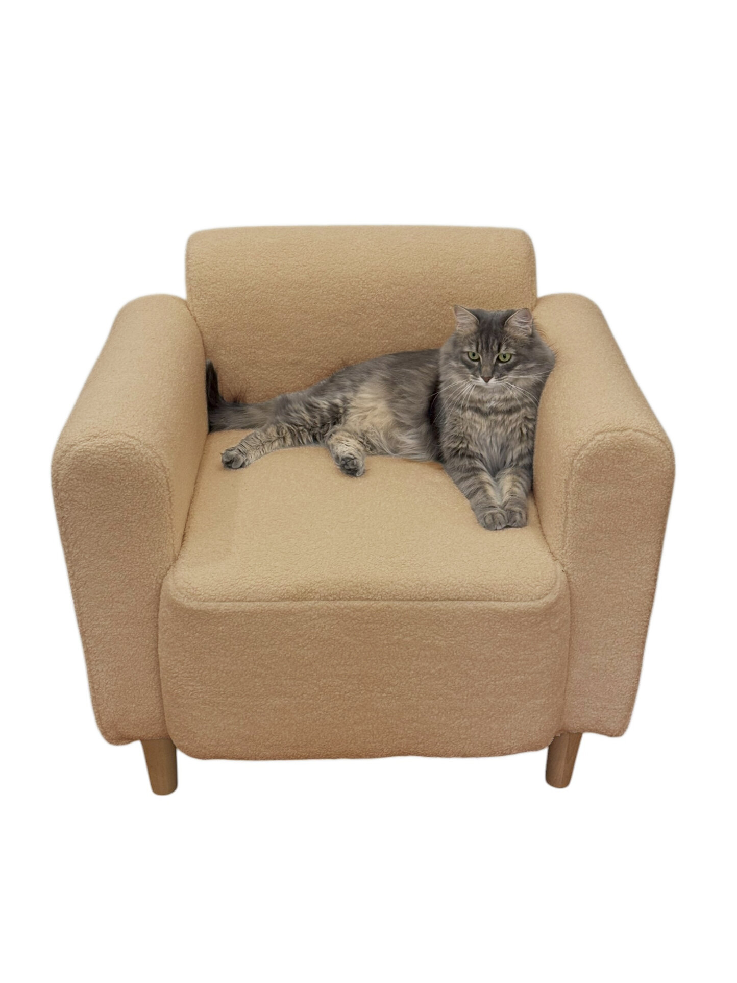 Кресло Рондо в гостиную, мягкое для дома и отдыха, букле Lamb Eco 4