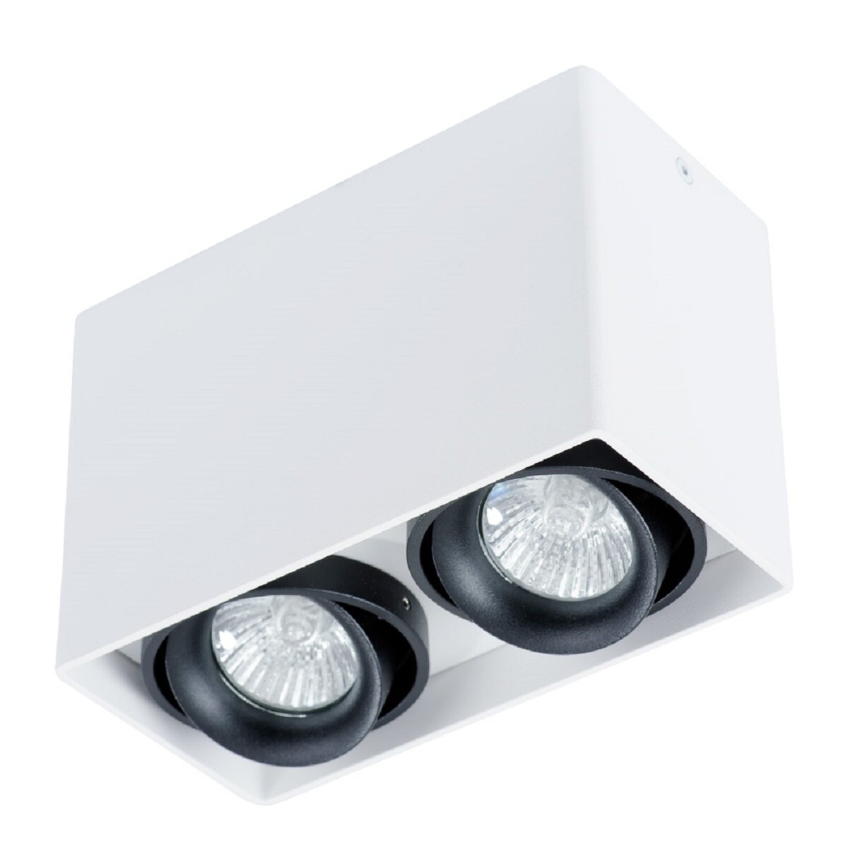 Точечный накладной светильник Arte Lamp PICTOR A5655PL-2WH GU10 белый