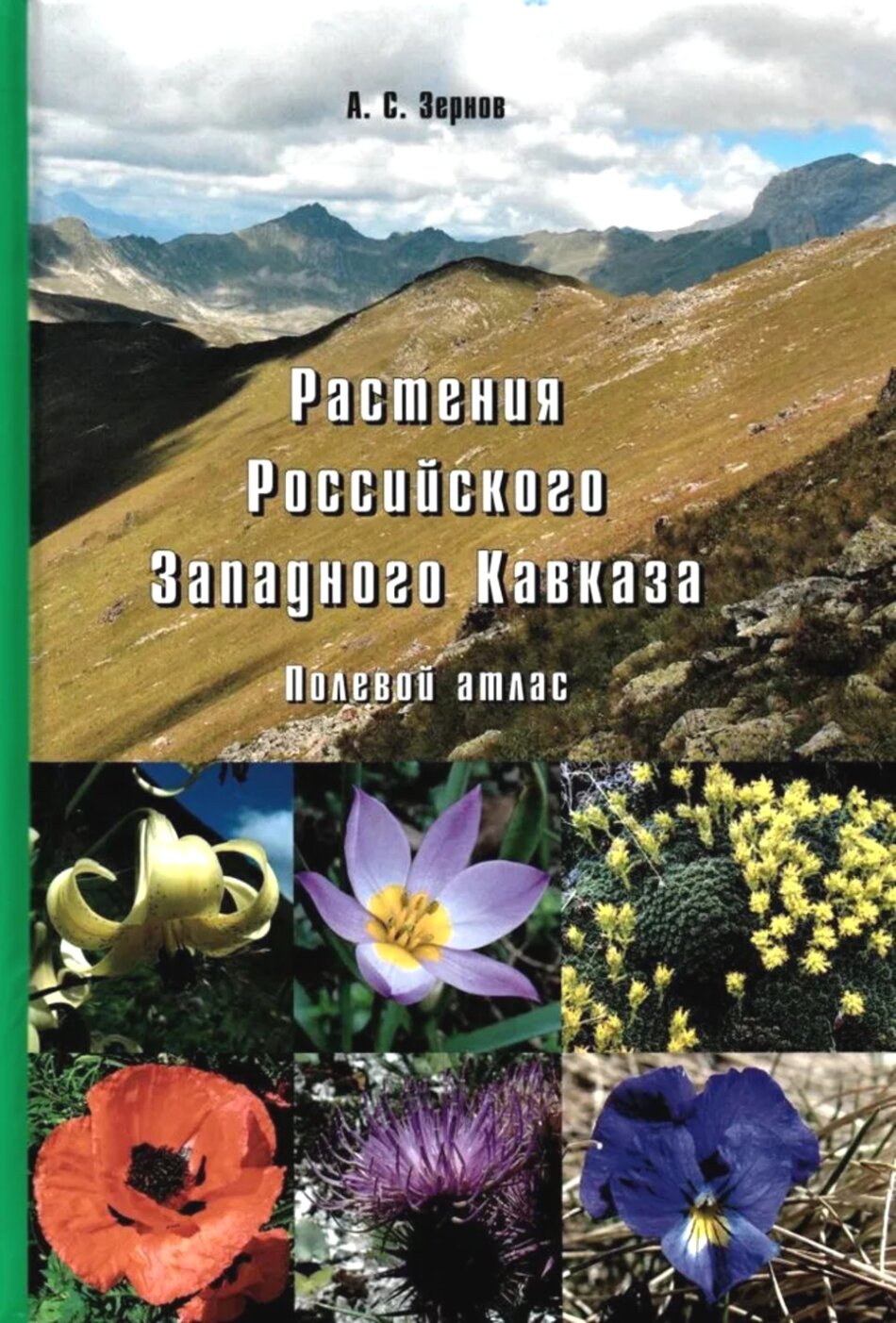 Растения Российского Западного Кавказа. Полевой атлас