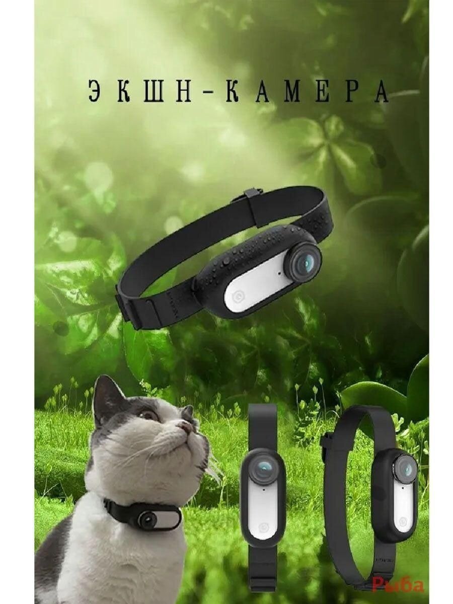 Экшн-камера для животных