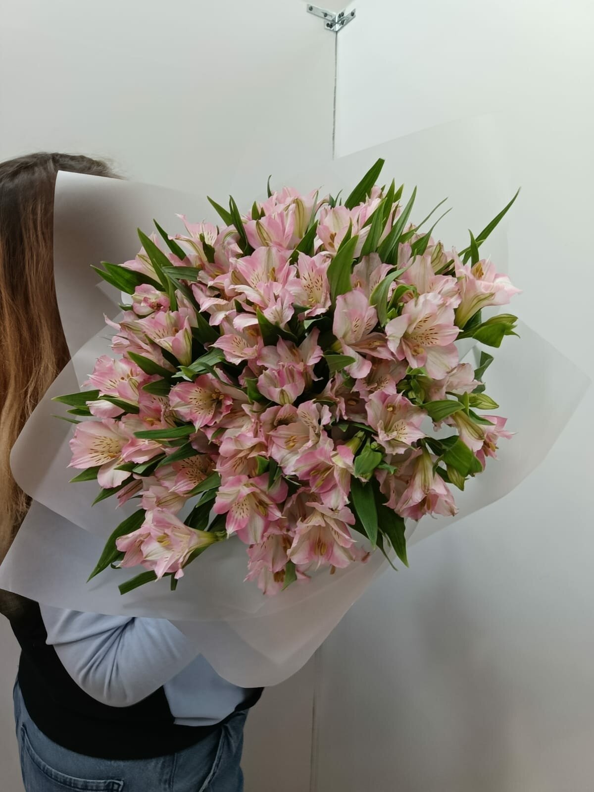 Монобукет "Альстромерия", 15 шт, на стеблях, высота букета 50 см, светло-бежевый