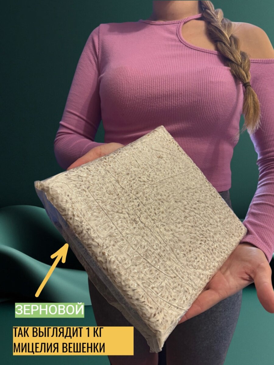 Мицелий Вешенки (штамм НК35) - 1 кг.