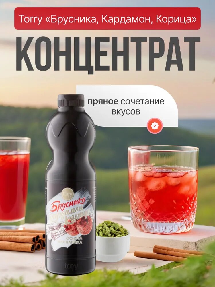 Основа Torry Брусника-Кардамон-Корица, для коктейлей, напитков, десертов, пластиковая бутылка, 1 кг