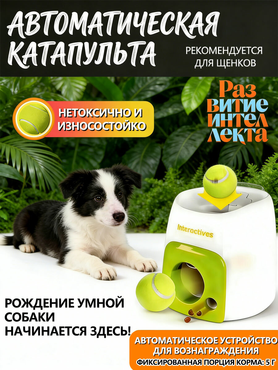 Катапульта мячей для собак интерактивная OZBERRY с 3 мячами