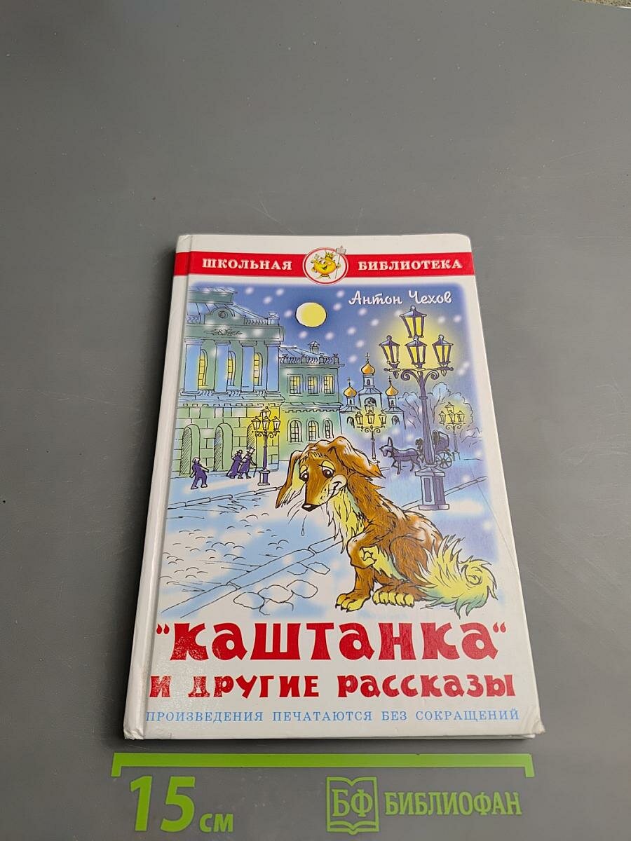 Каштанка и другие рассказы