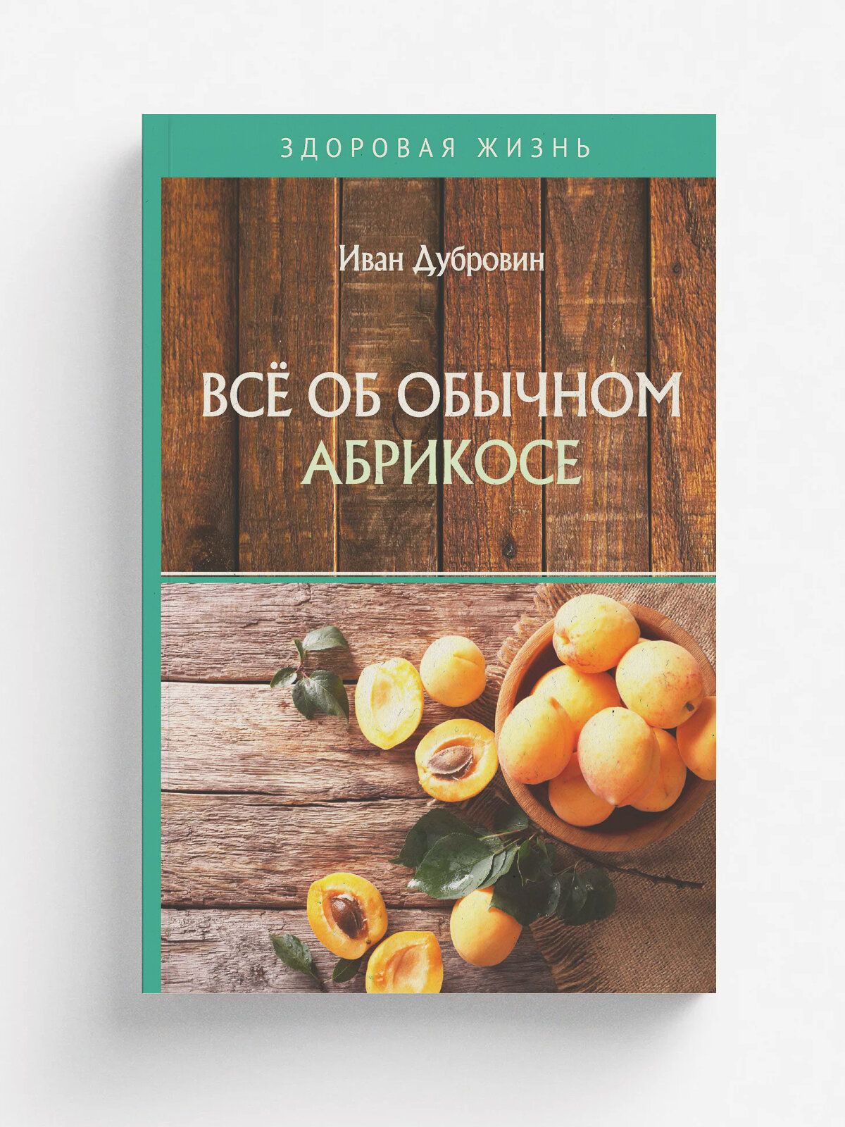 Всё об обычном абрикосе