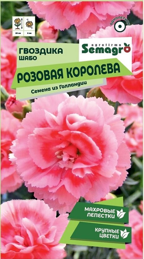 Семена Гвоздики Шабо SEMAGRO Розовая королева 0,1 г