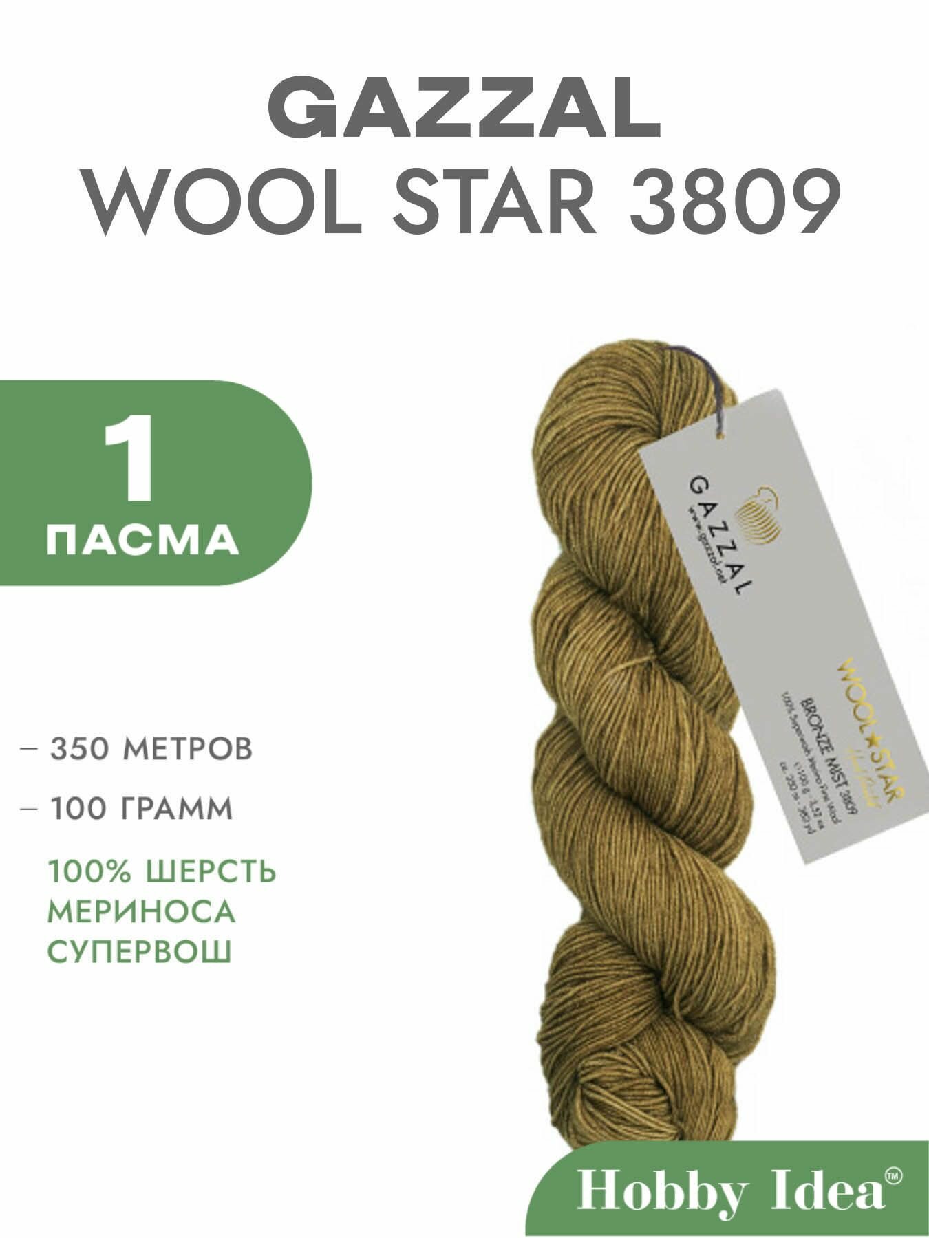 Пряжа Gazzal Wool Star 3809 Оливковый 1 пасма (Мериносовая пряжа в пасмах Газзал Вул Стар)