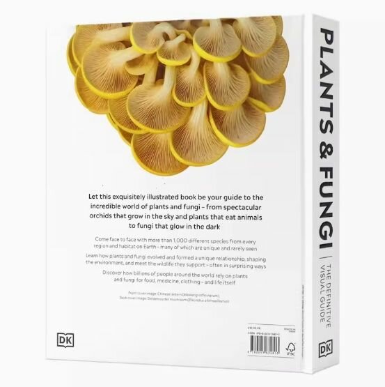 Печатная книга — фото 1