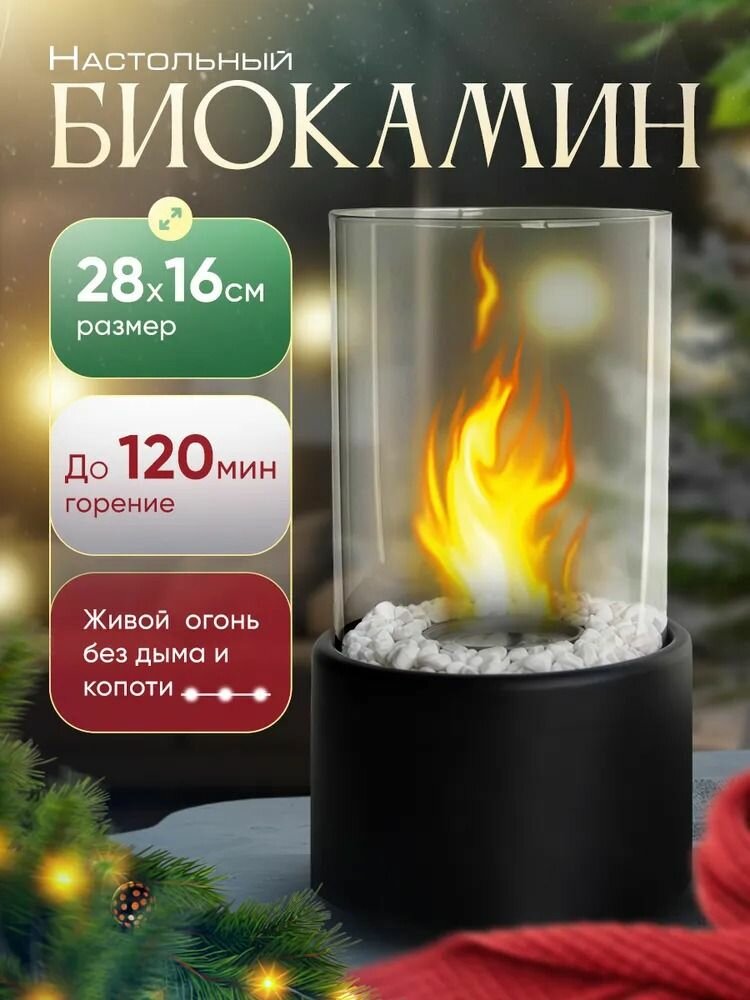 Биокамин Настольная установка