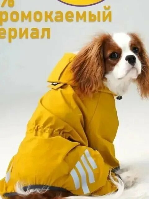 Одежда для собак дождевик, Одежда для собак, дождевик комбинезон для малых и средних пород