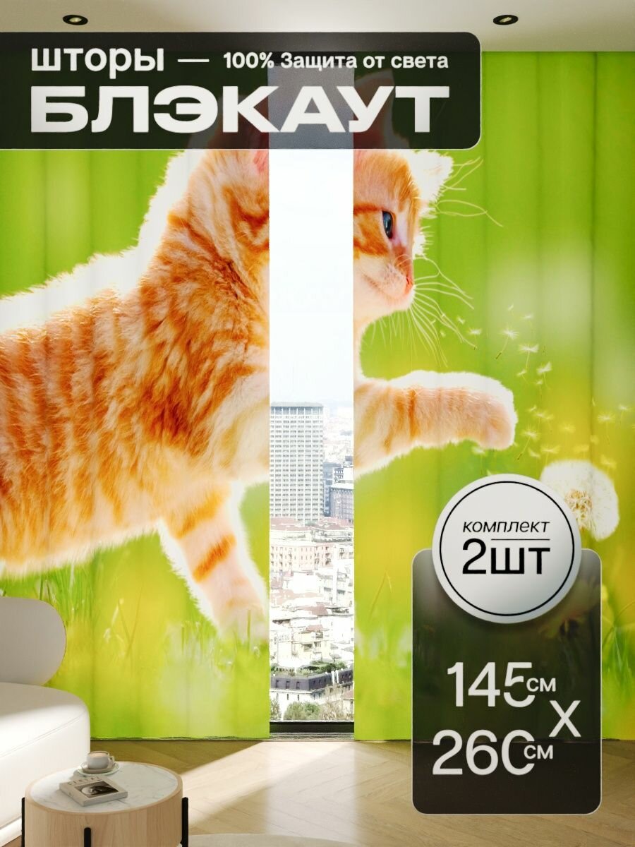 Шторы блэкаут 145x260 см 2 шт на окна плотные комплект
