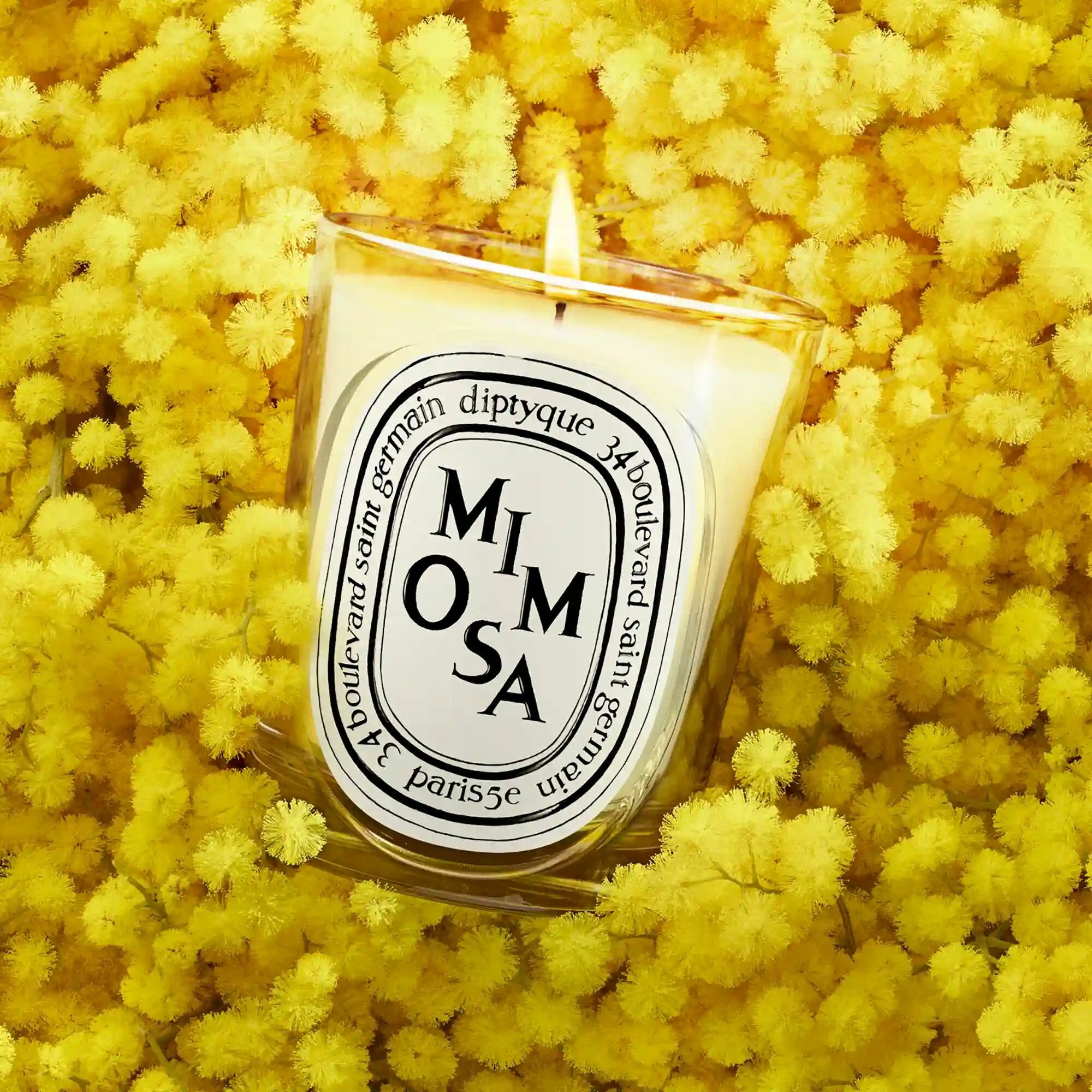 Свеча ароматическая Diptyque Mimosa 70г
