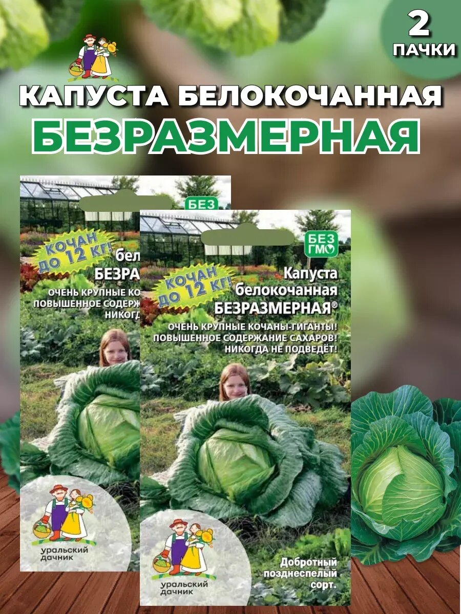 Капуста белокочанная Безразмерная, 2 пачки семян по 0,3 гр.
