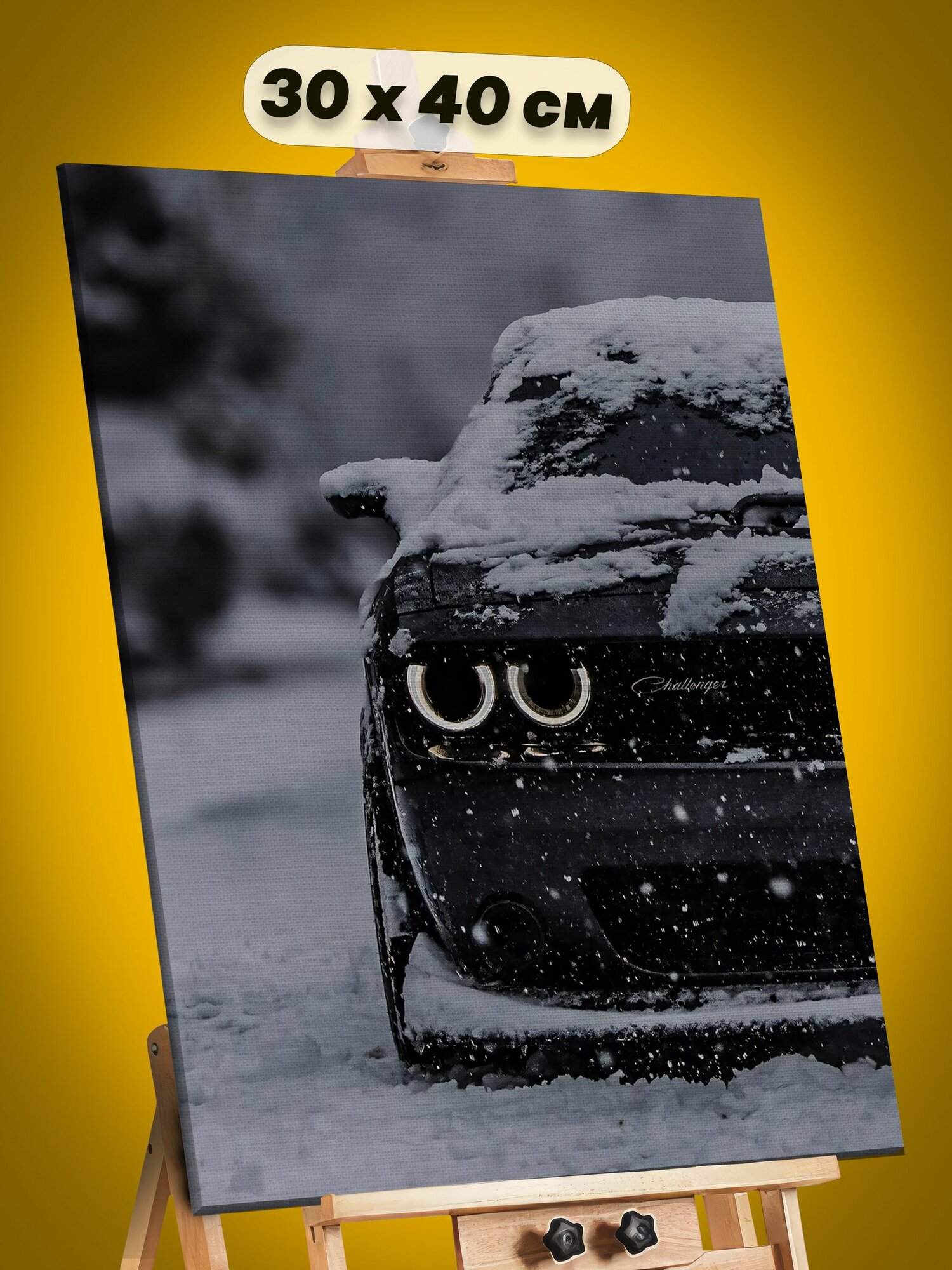 Картина на стену Авто Dodge Challenger в снегу 30x40