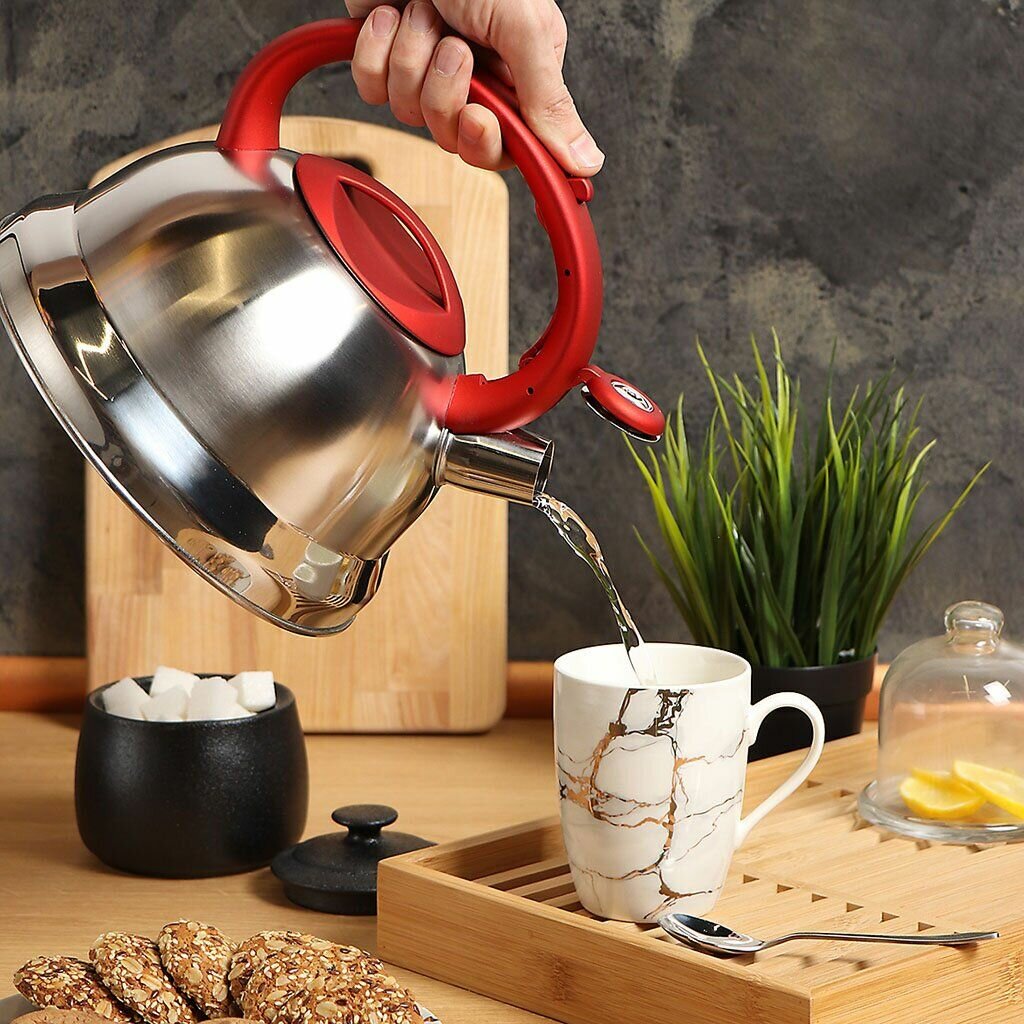 Чайник DANIKS из нержавеющей стали, 2,8 л, со свистком, матовый, с ручкой с силиконовым покрытием, красный