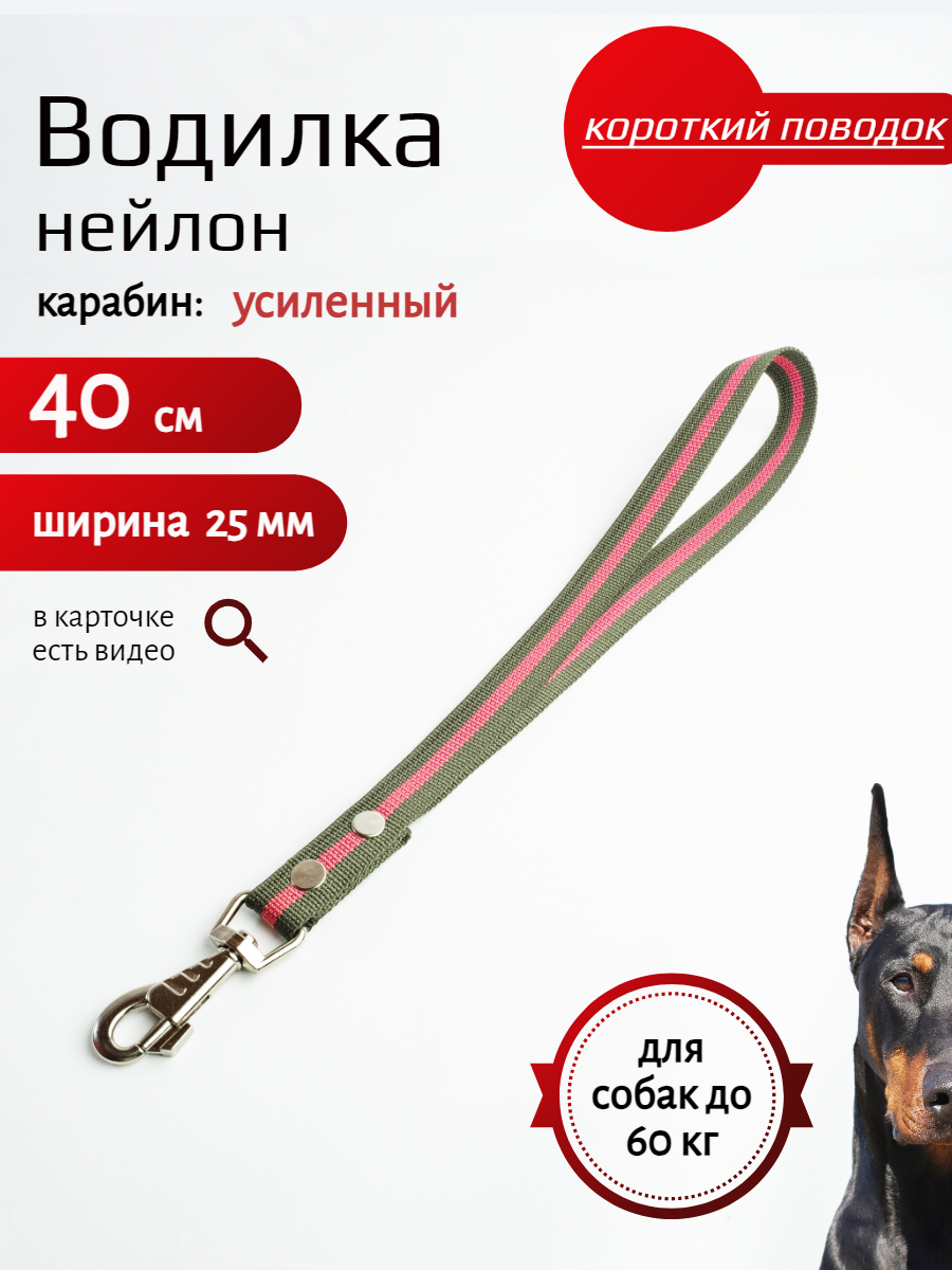 Водилка Хвостатыч для собак с усиленным карабином нейлон 40 см х 25 мм (зелено-красный)