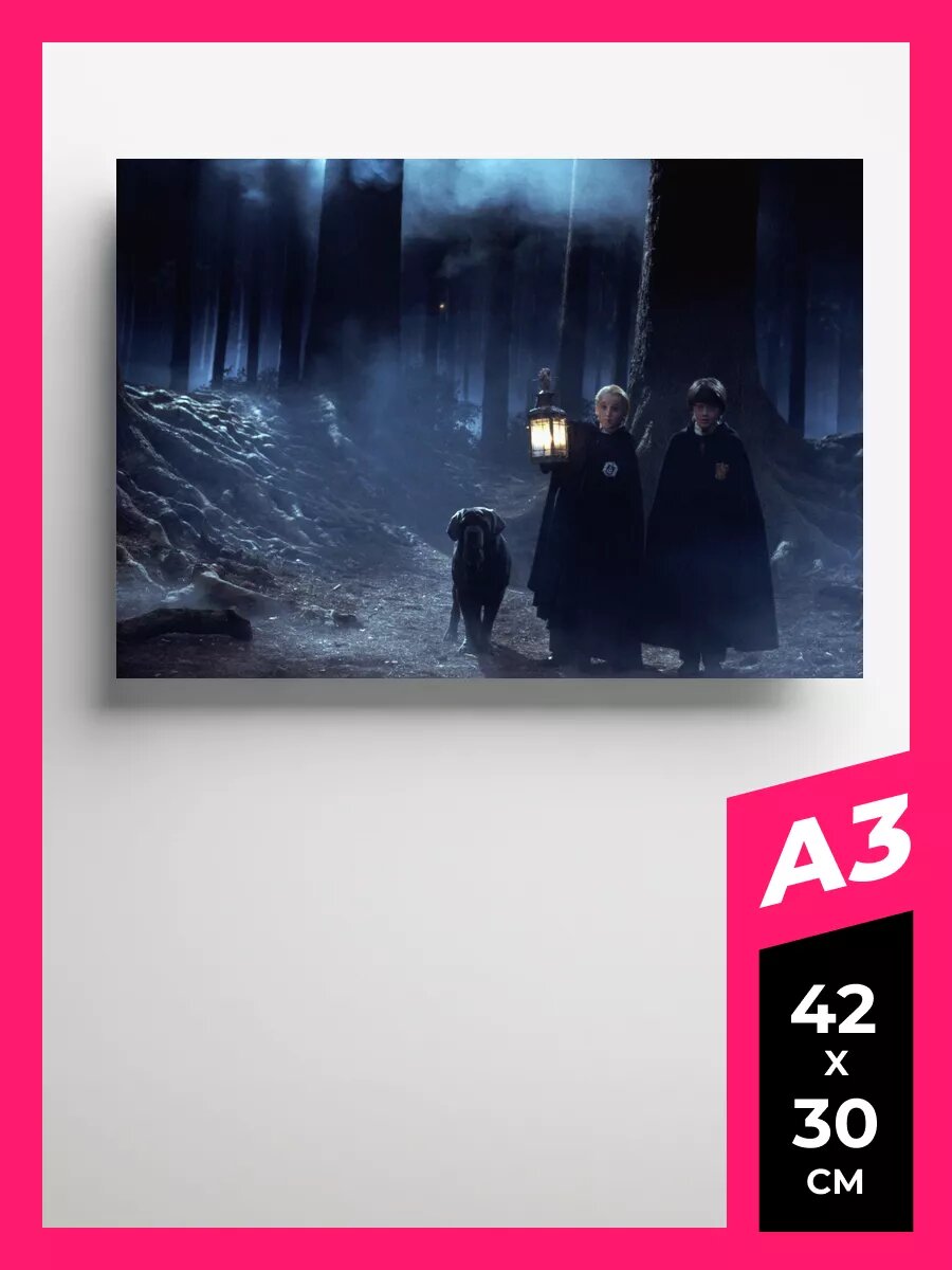Интерьерный постер Гарри Поттер плакат Гарри Поттер в лесу, матовая фотобумага премиум качества