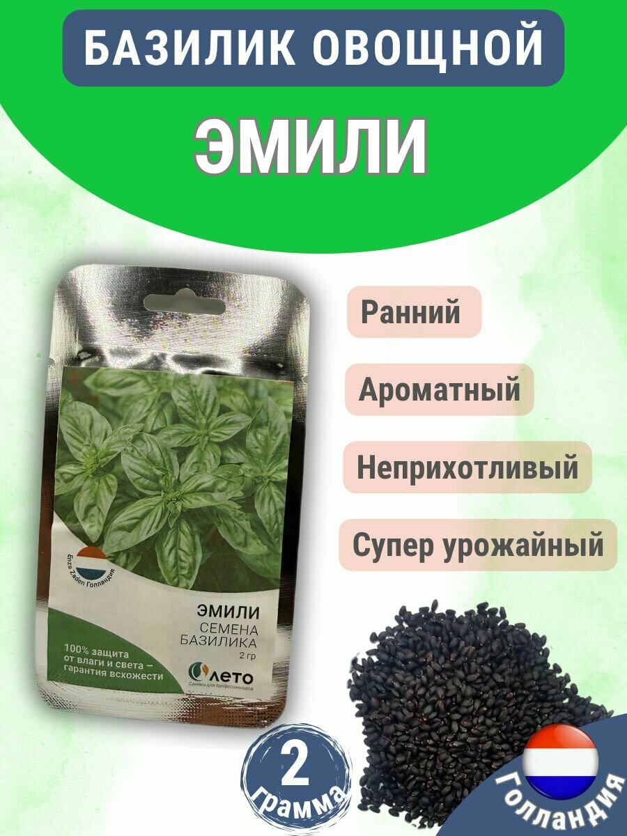 Семена базилика овощного Эмили, Enza Zaden, 2 гр.