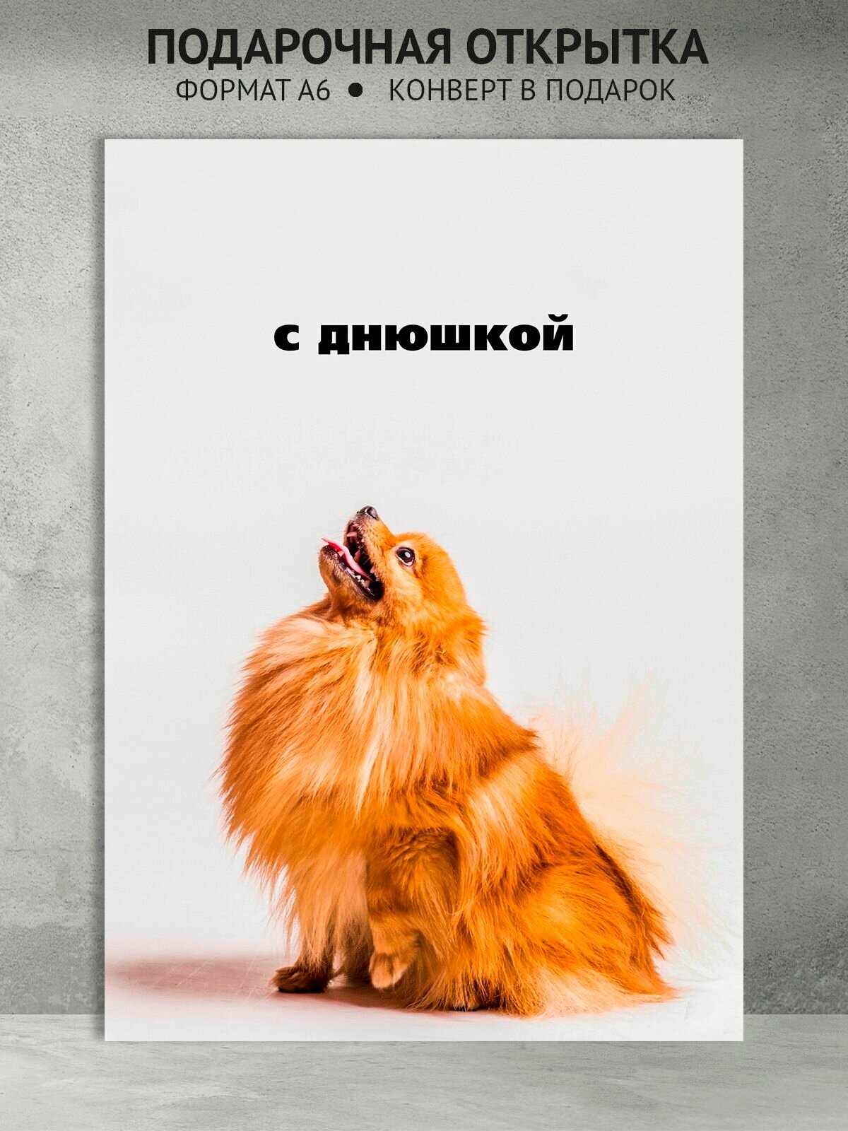 Подарочная открытка с уникальной иллюстрацией шпиц "С днюшкой" с днем рождения, с юбилеем, без повода