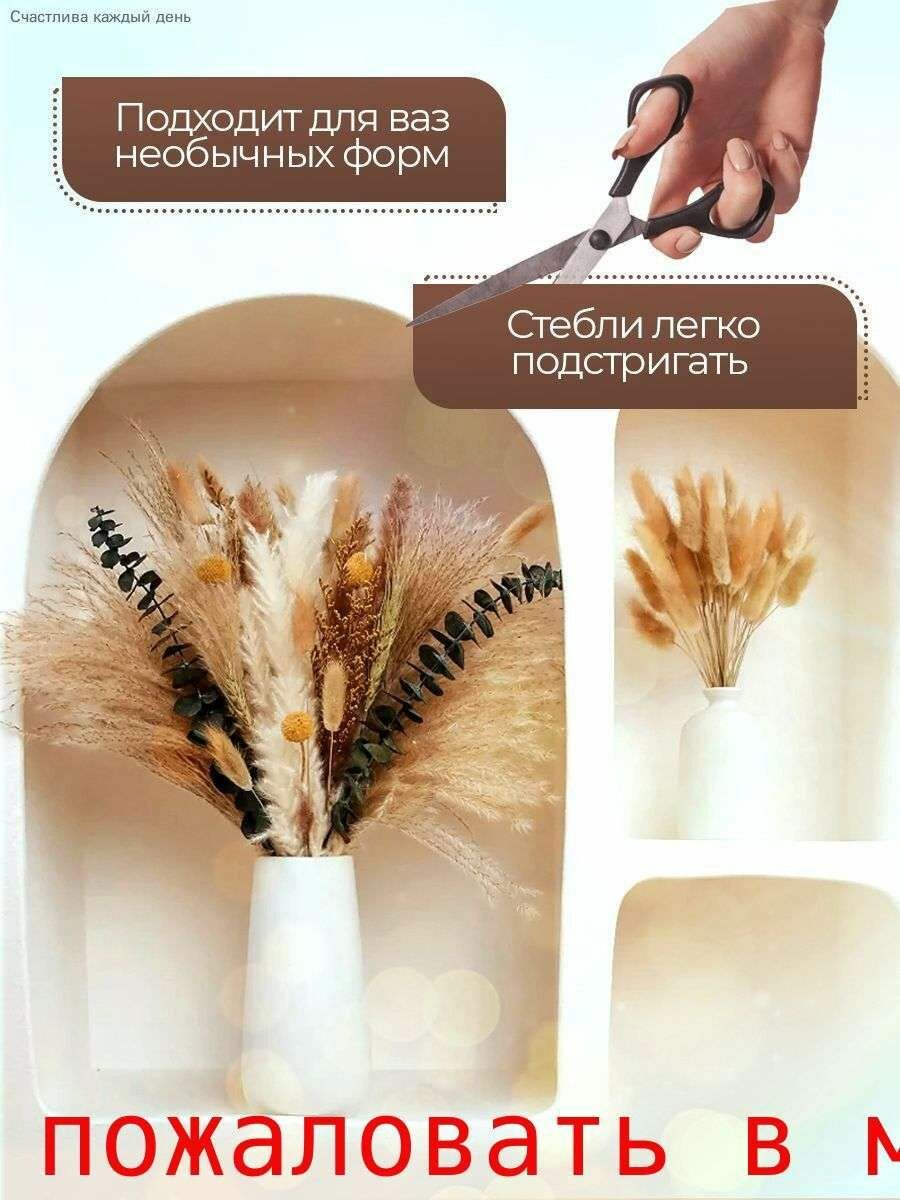 Сухоцветы — фото 1