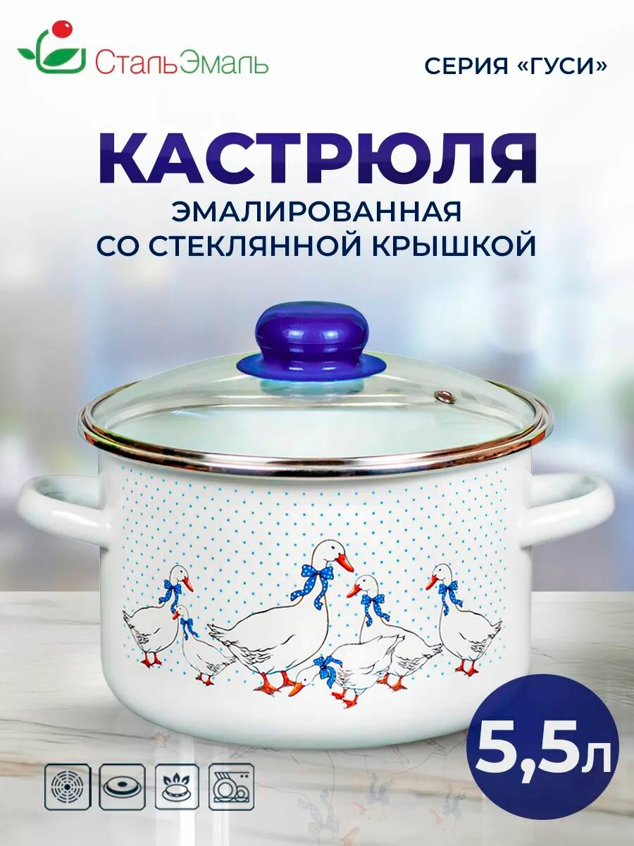 Кастрюля эмалированная Гуси 5,5 л для всех типов плит