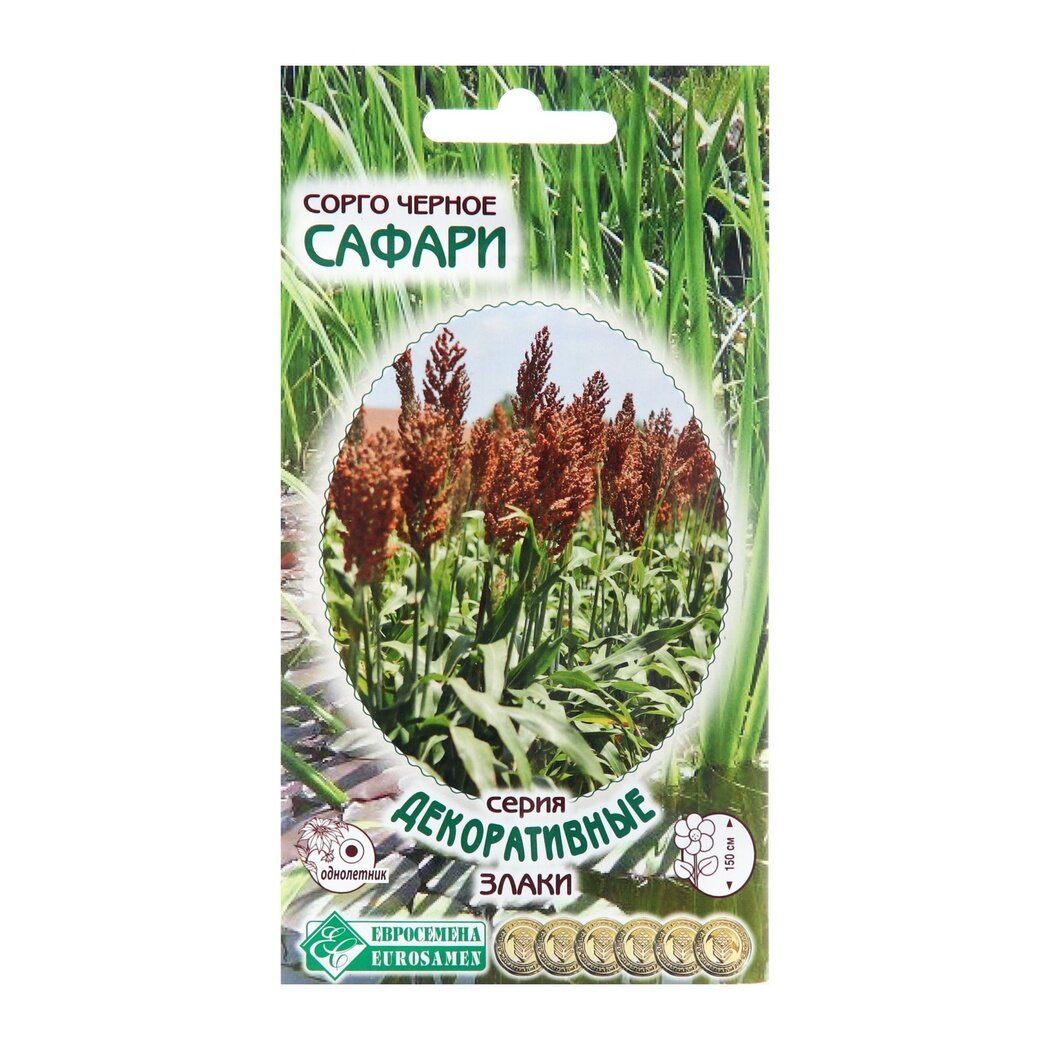 Семена Евросемена "Сорго черное Сафари", многолетние, декоративные, 0,1 г