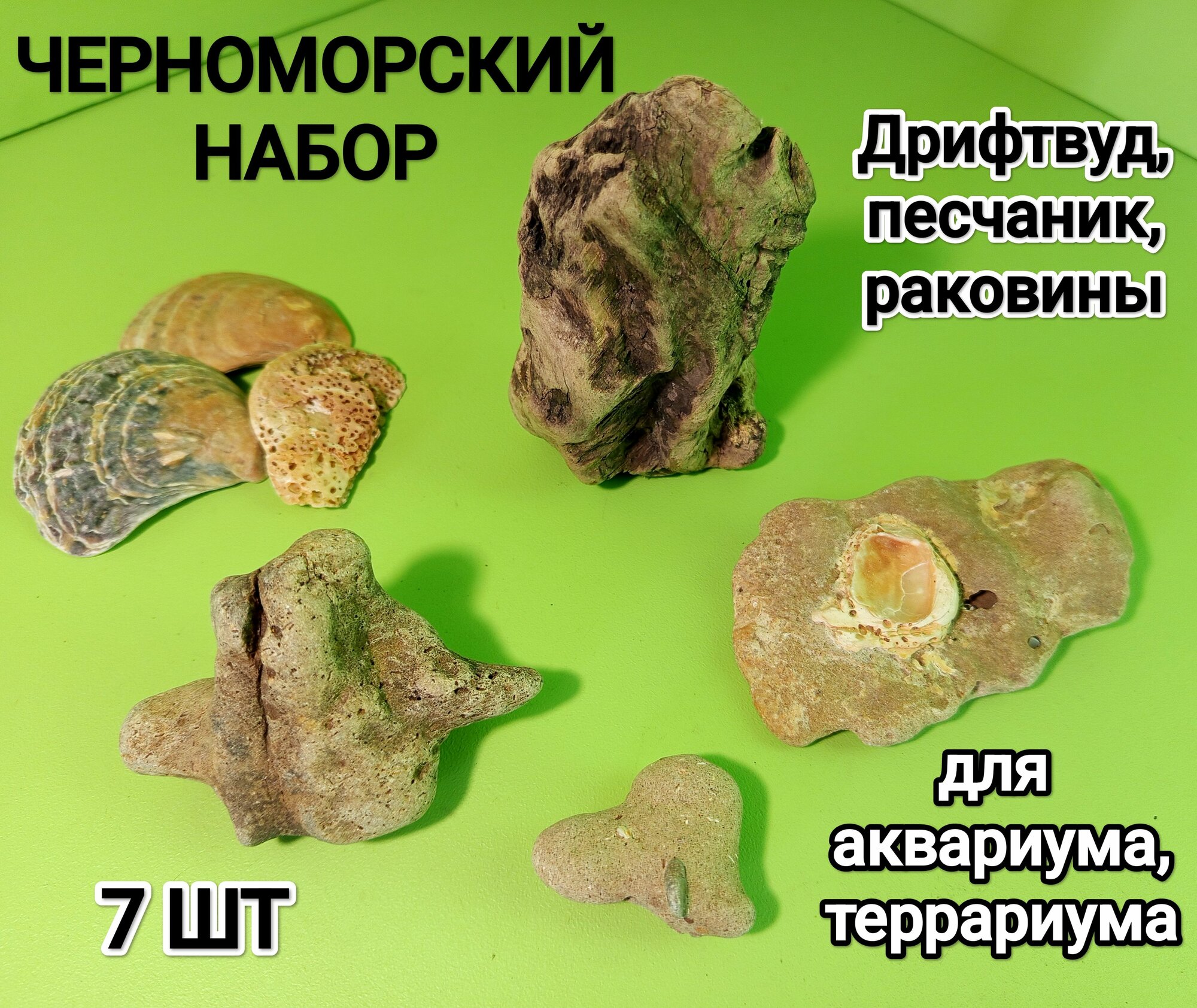 Черноморский набор для аквариума, террариума, флорариума и творчества. Натуральный.