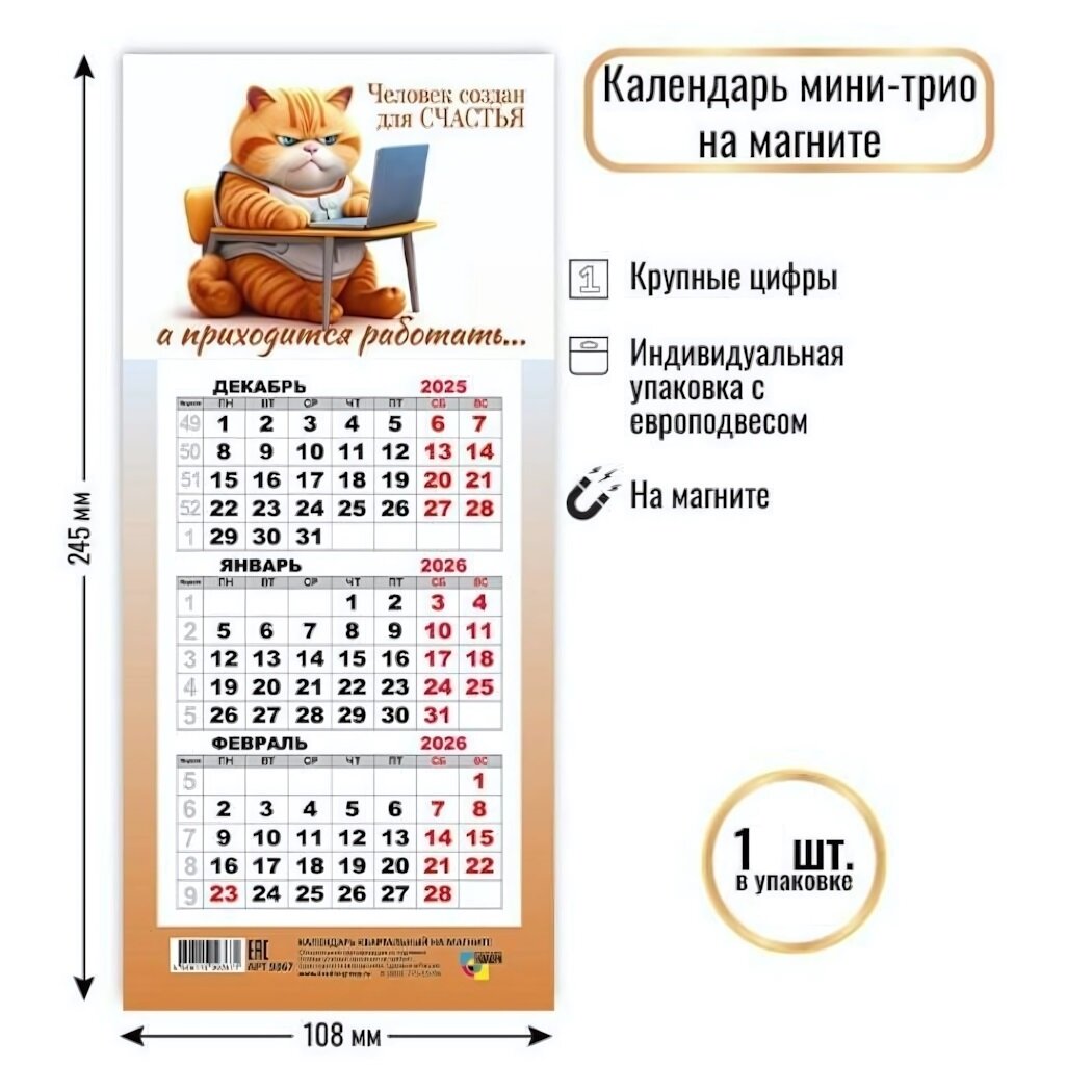 Календарь квартальный 'Кот' на магните, 245х108мм, декабрь-февраль 2026
