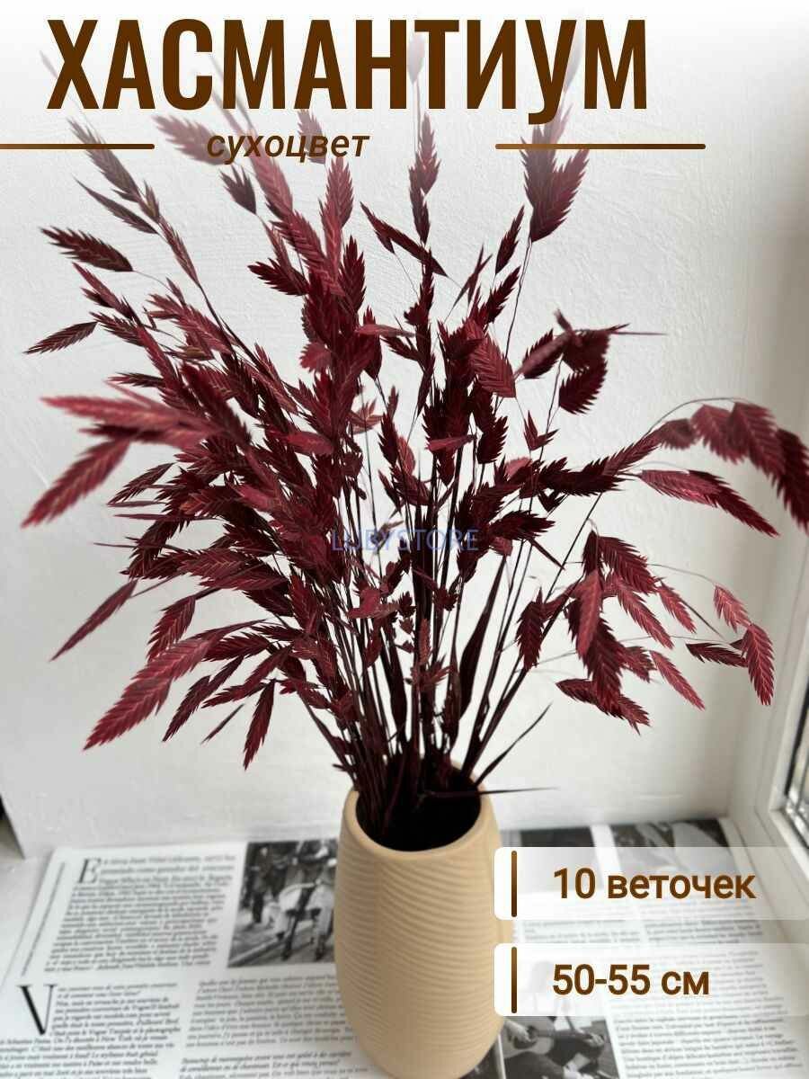 Сухоцвет для декора хасмантиум букет для рукоделия