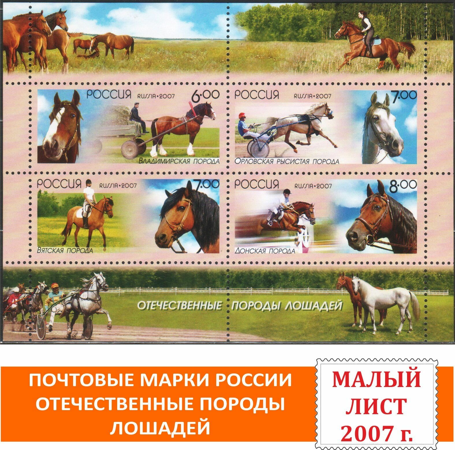 Почтовые марки России Лошади. Отечественные породы. Малый лист из 4-х марок 2007 года выпуска.